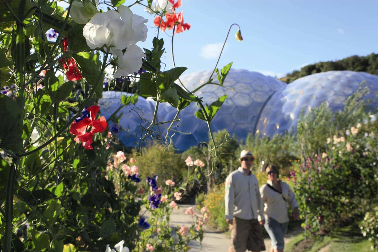 4 Great Cornish Gardens