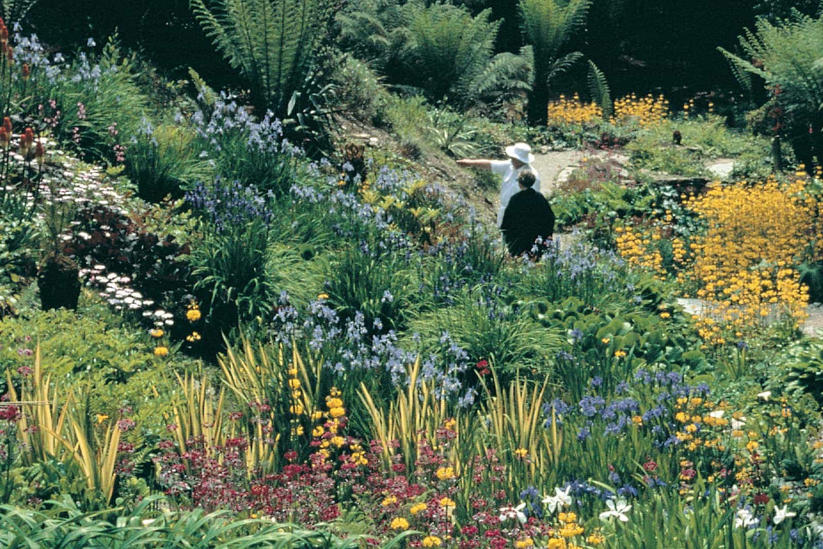 4 Great Cornish Gardens