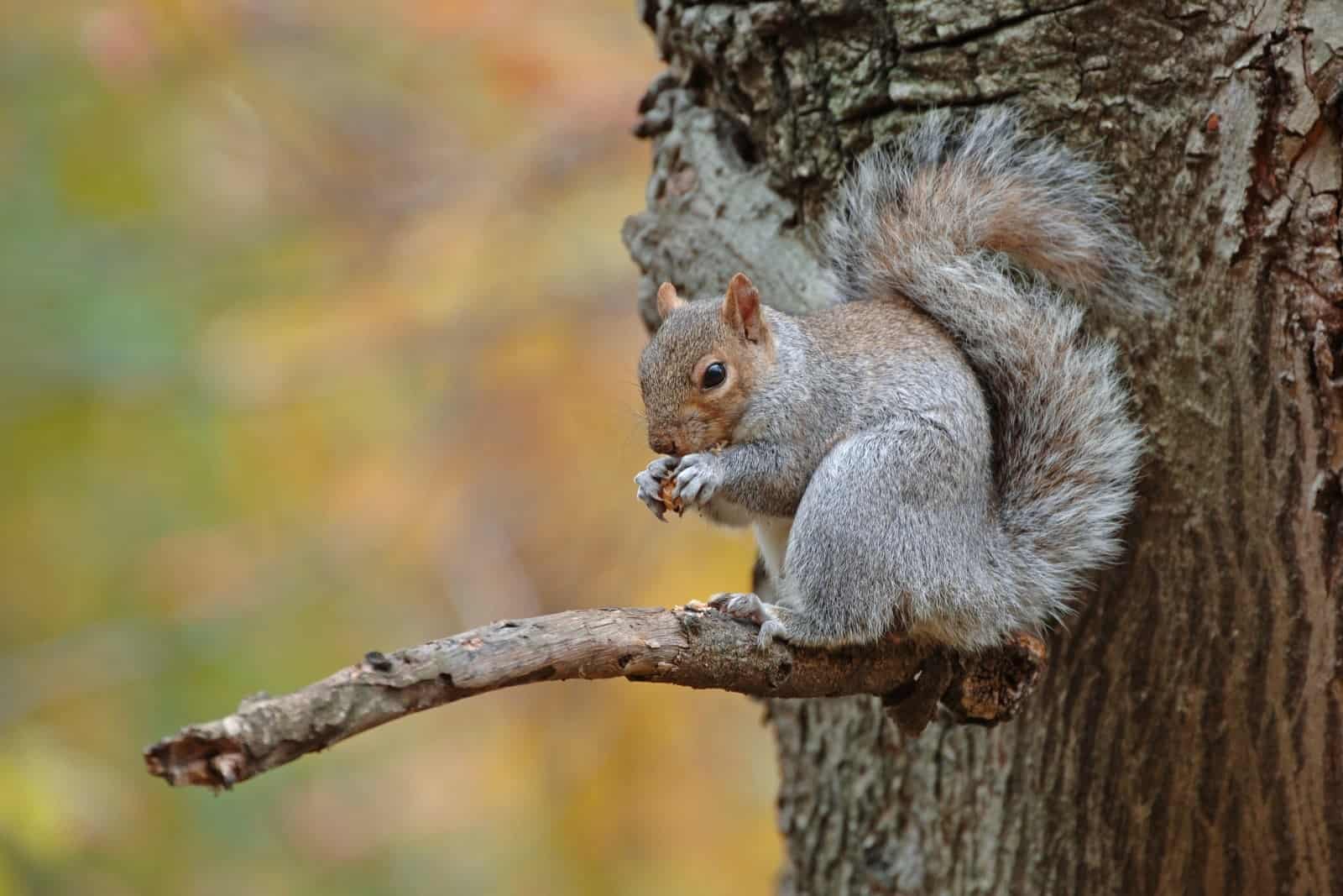 Autumn Walks in Cornwall